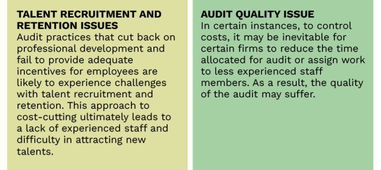 Sustainable Audit Practice (Part 1): Navigating the Potential Increase ...