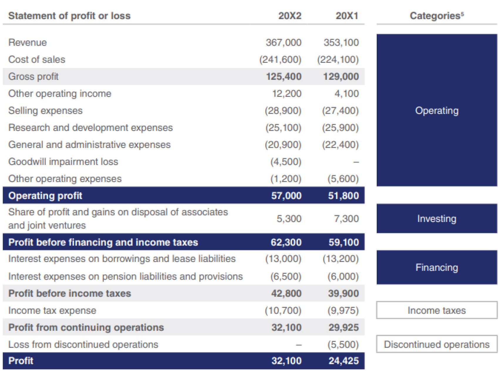 Overview of IFRS 18 Presentation and Disclosure in Financial Statements ...
