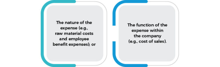 Overview of IFRS 18 Presentation and Disclosure in Financial Statements ...