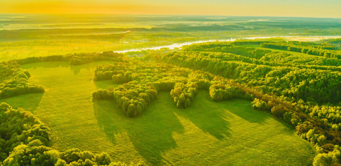 MIA Sustainability Developments and Engagements | Accountants Today ...
